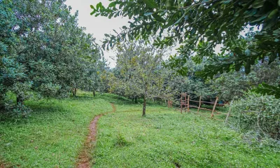 Home | Quick Homes Rwanda