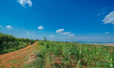 Home | Quick Homes Rwanda